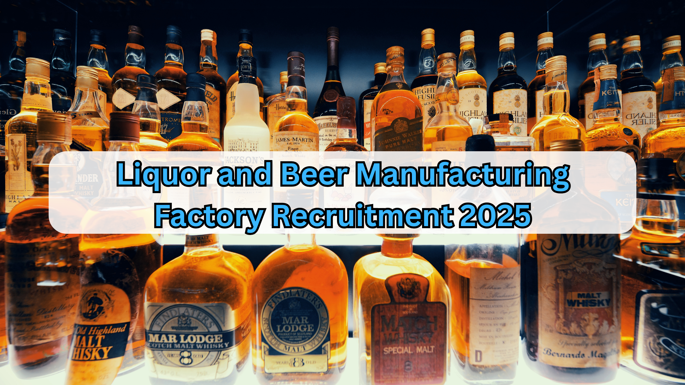 Liquor and Beer Manufacturing Factory Recruitment 2025 – Apply for Jobs ...